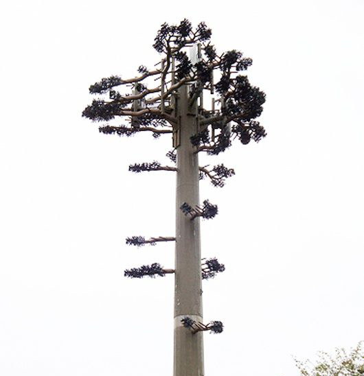 Siphilasonke Development Group - Home